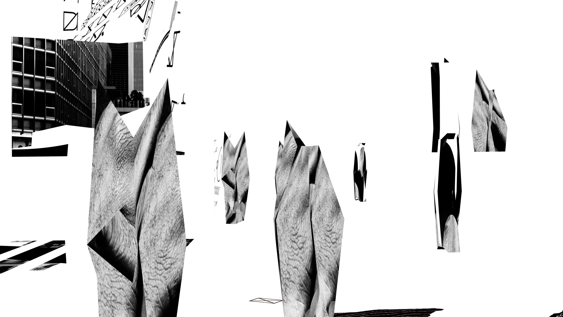 Virtual Nation ZUCCa | Works | EDP graphic works