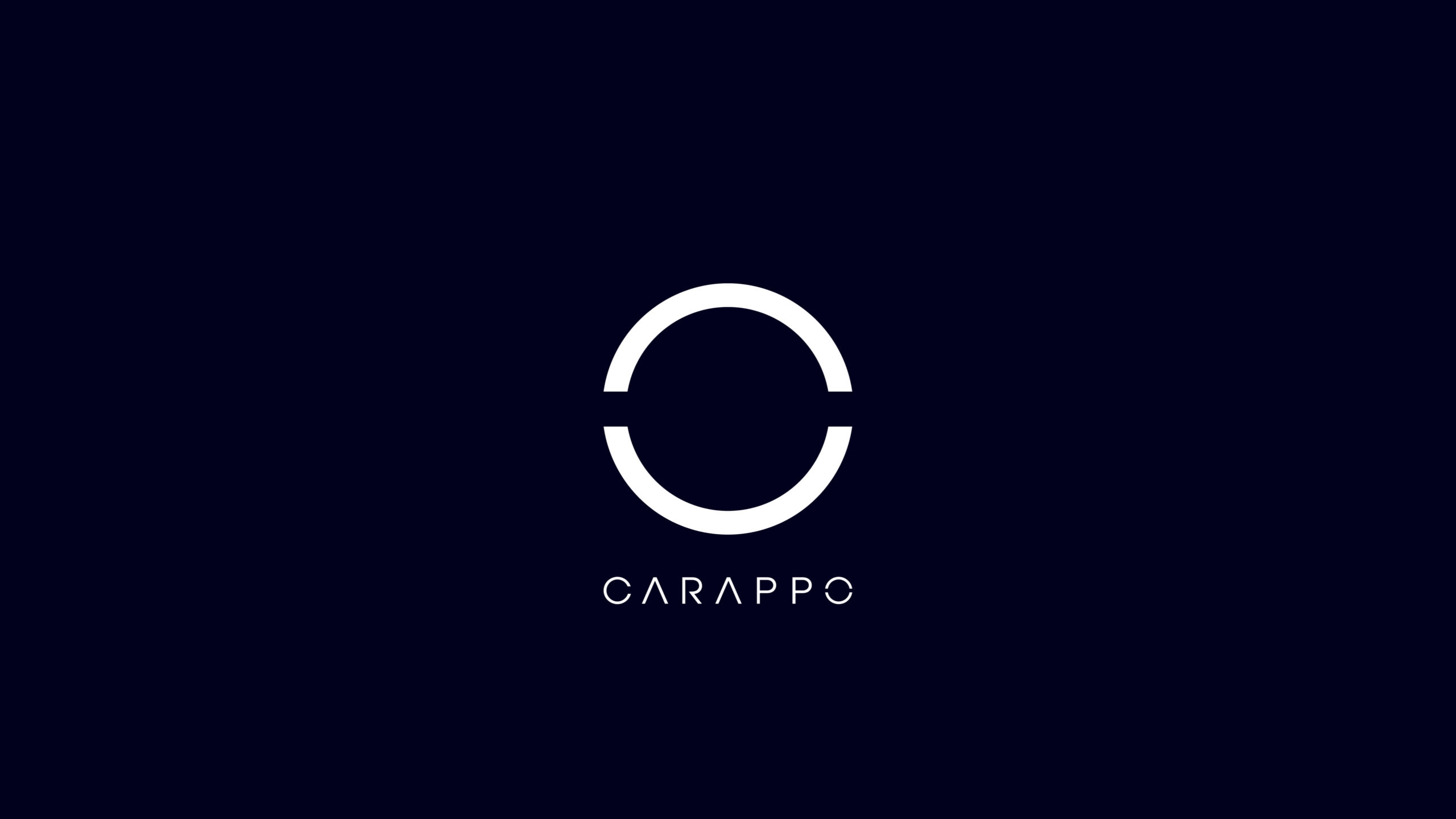 CARAPPO | Works | EDP graphic works
